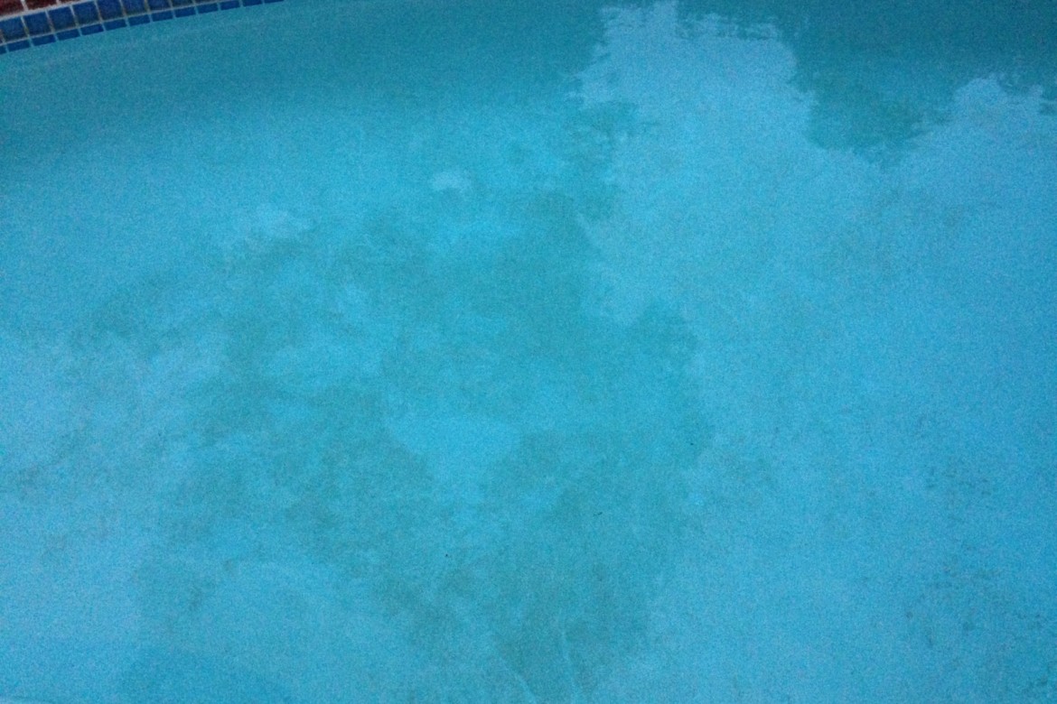 What is Black Algae? – Ramon Pool Service, LLC. What is Black Algae? – Ramon Pool Service, LLC.